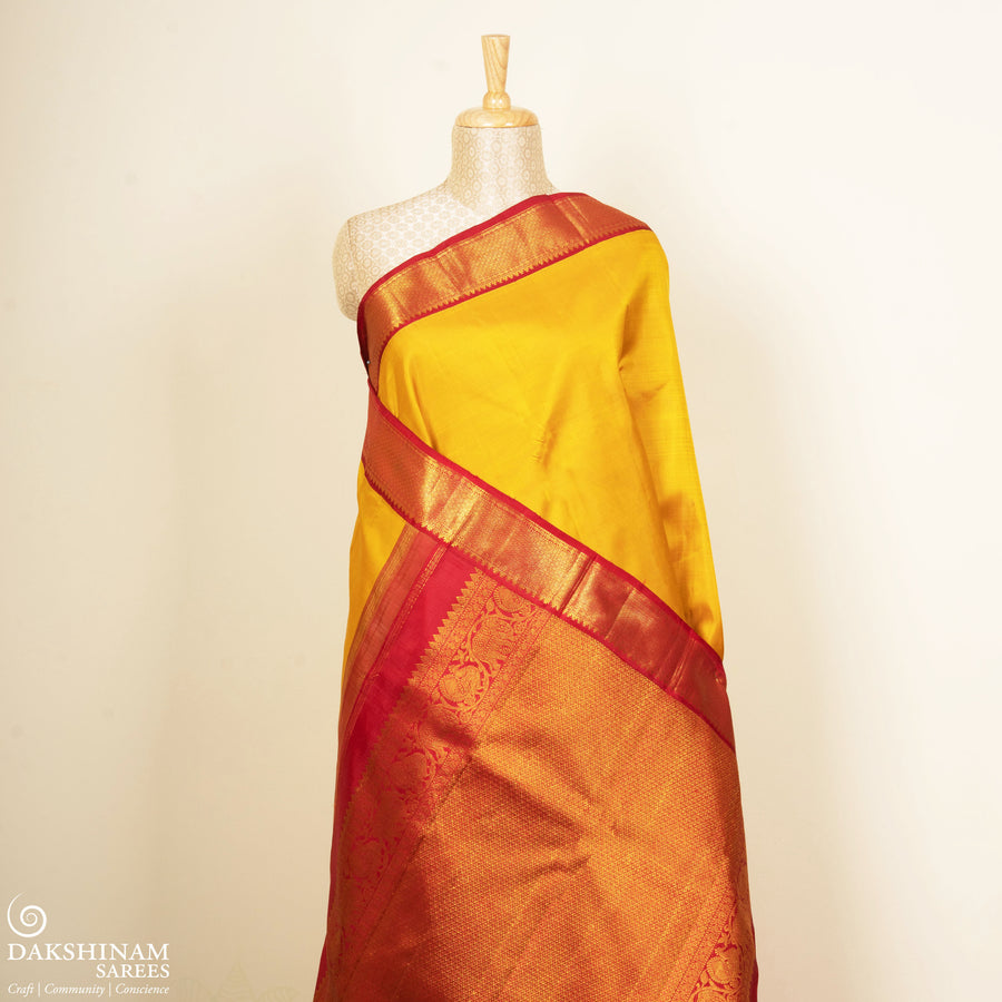 Trending Sarees Online – Vibrant Colors & Contemporary Designs ...